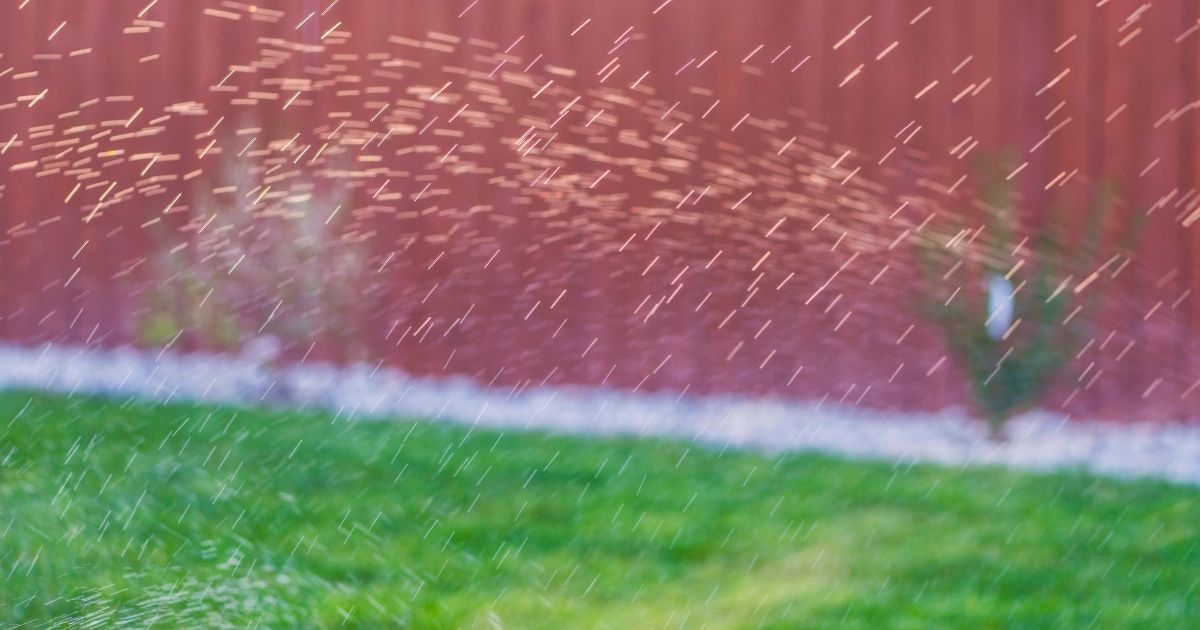 Sod Rooting Timeline: Know How Long It Takes For Perfect Lawns - Home ...