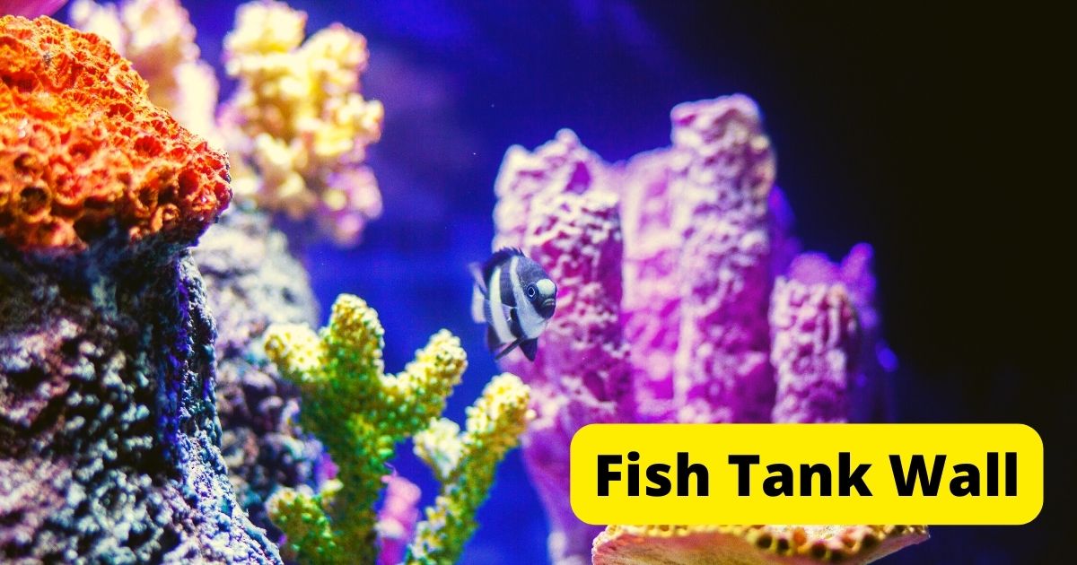 Breathe new life into your home with a fish tank wall - Home Decor Chat