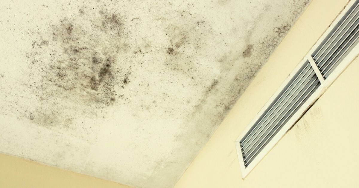 Exposed: The Toxic Truth Behind Popcorn Ceilings - Home Decor Chat