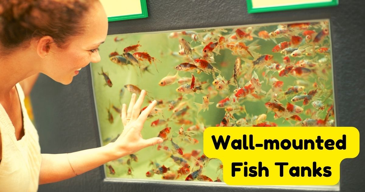 Wall-mounted Fish Tanks: A Stylish Way to Bring Nature Indoors - Home ...