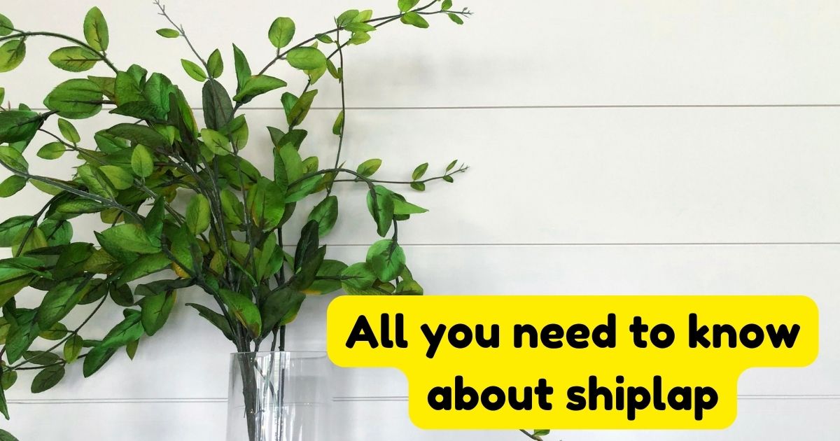 All you need to know about shiplap - Home Decor Chat