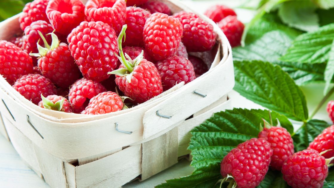 Raspberry Companions: The Best Plants for a Fruitful Harvest - Home ...